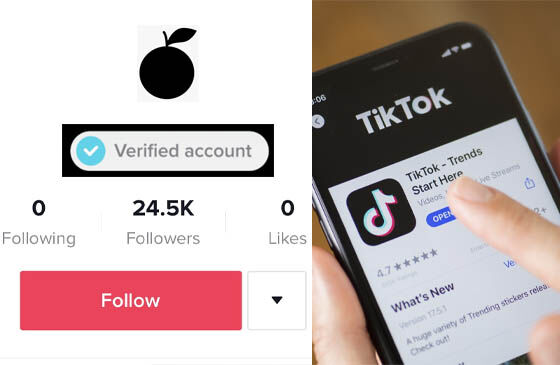 TikTok Blue Tick Injector, Apakah Aman? | JalanTikus