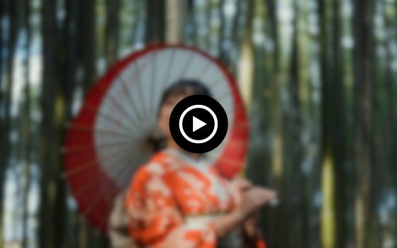 Video Bokeh Japanese Word Origin Full di Proxy Video Indonesia | JalanTikus