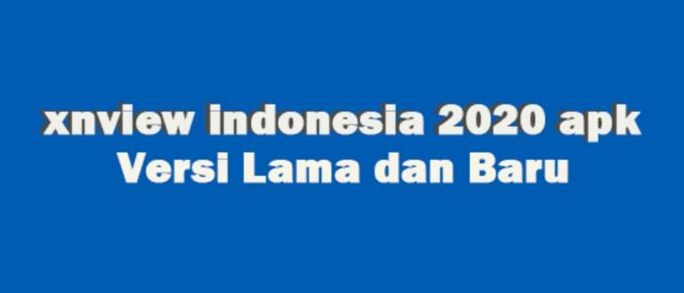 Download XnView Indonesia 2020 APK, Full HD Khusus 18+ | JalanTikus