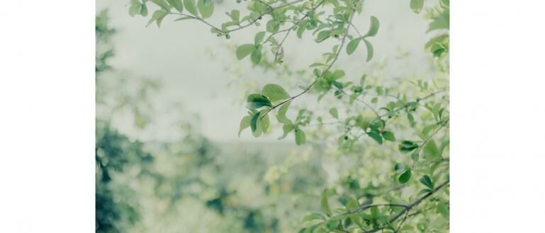 Bokeh yang Tidak Diblokir 2024: Temukan Aplikasi Seru Tanpa Batasan! | JalanTikus