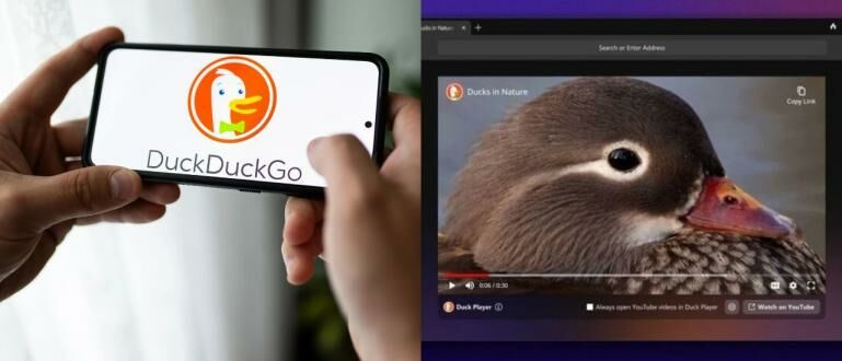 DuckDuckGo Proxy Video Player Download, Akses Bokeh Museum Tanpa Batas ...