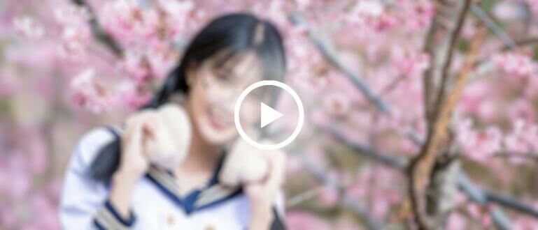 Jangan Pakai YouTube Biru Buat Nonton Video Jepang Wkwkwk China! Ini Alternatifnya! | JalanTikus