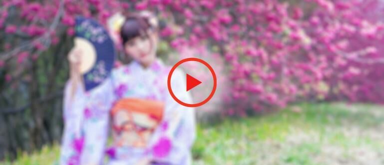 Hindari Membuka Link Bokeh Chrome 2025 Android Menggunakan XNXubd VPN Browser APK, Bahaya ...