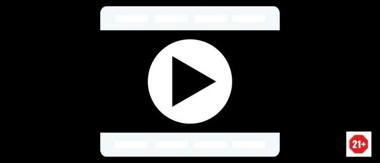 111.90 l50 182 1111.90 l50 204 Bokeh Video Barbar Parah, Jangan Dibuka! | JalanTikus