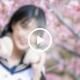 Bokeh Japanese Word Meaning, Situs Full Video Museum Viral? | JalanTikus