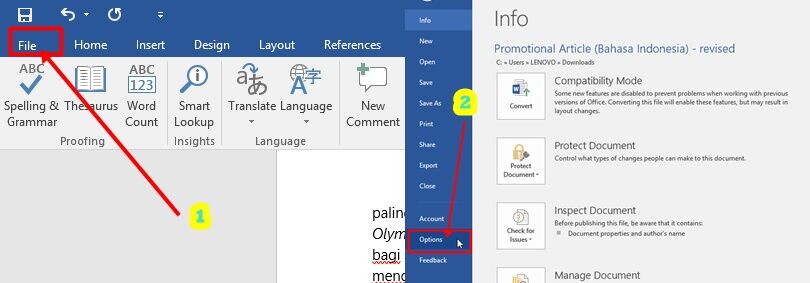 How To Remove Eliminate Red Lines In Word Permanent TechOught